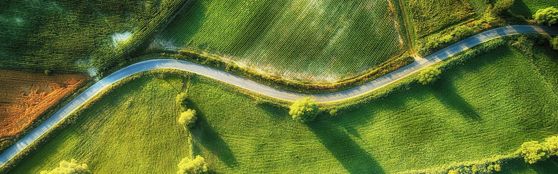 Dothan & Wiregrass Area Locations | Southern Bone & Joint Specialists